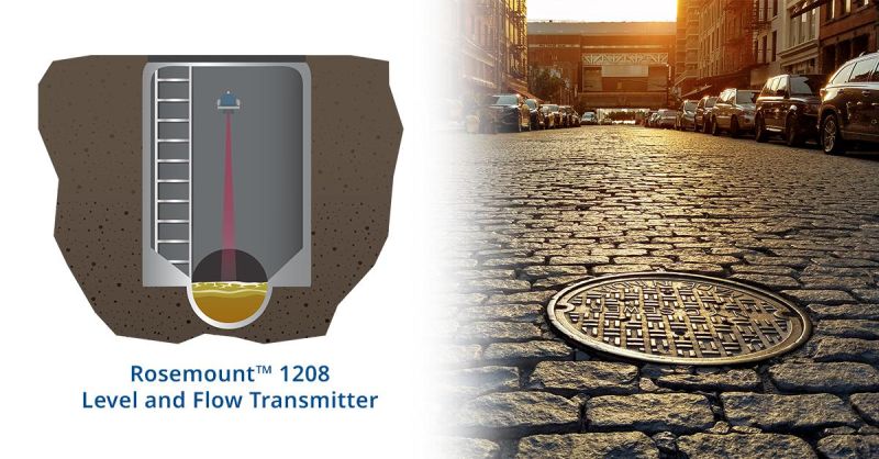 Rosemount 1208 Level and Flow Transmitter Series - Custom Controls
